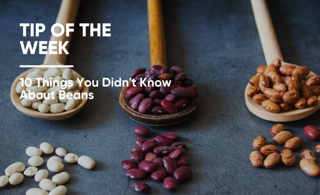 10 Surprising Fun Facts About Beans You Didn't Know - Facts Vibes