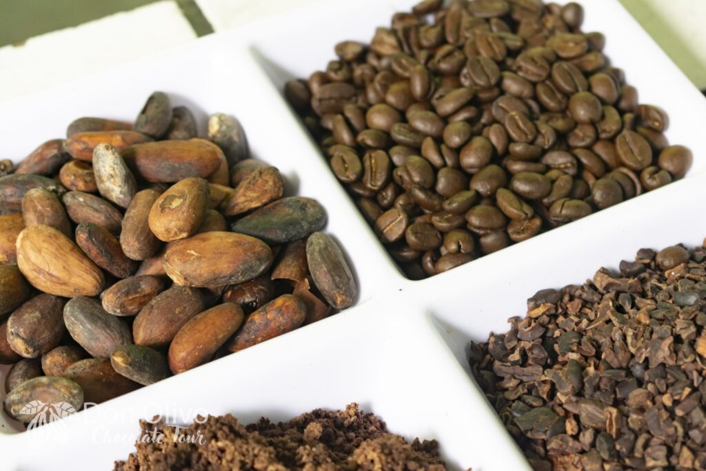 Discovering the Fascinating Facts About Chocolate - Facts Vibes