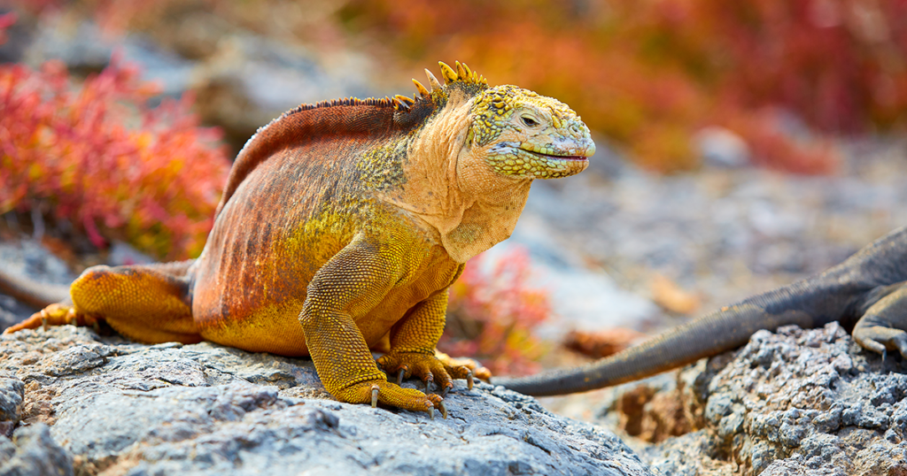 Fascinating Facts About Paraguay: Uncover the Country's Intriguing ...