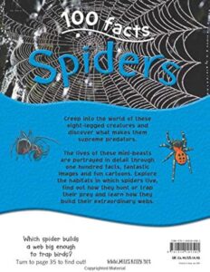 Discover 100 Fascinating Spider Facts - Facts Vibes