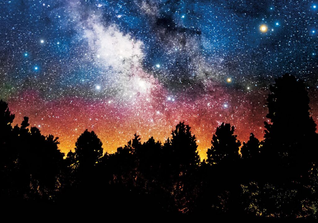 Discovering Fascinating Facts About the Number 4 - Facts Vibes