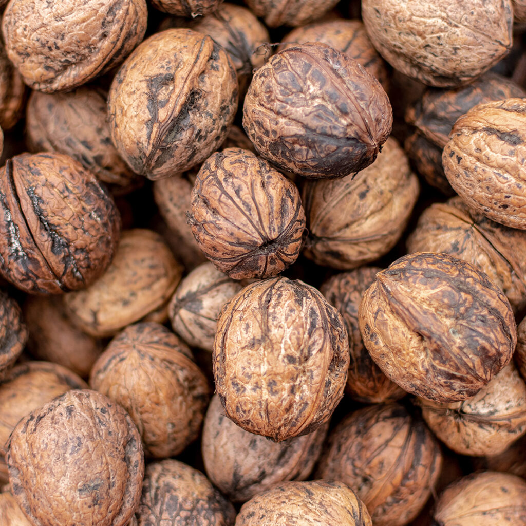 The Nutty Truth: Fascinating Facts About Nuts - Facts Vibes