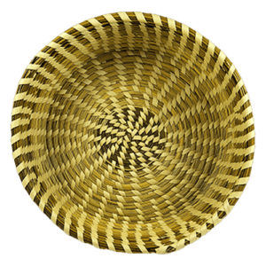 Discovering the Fascinating Facts About Indigo - Facts Vibes